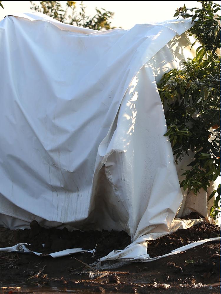 Search continues for 10-year-old Trinity Eslinger | firstcoastnews.com