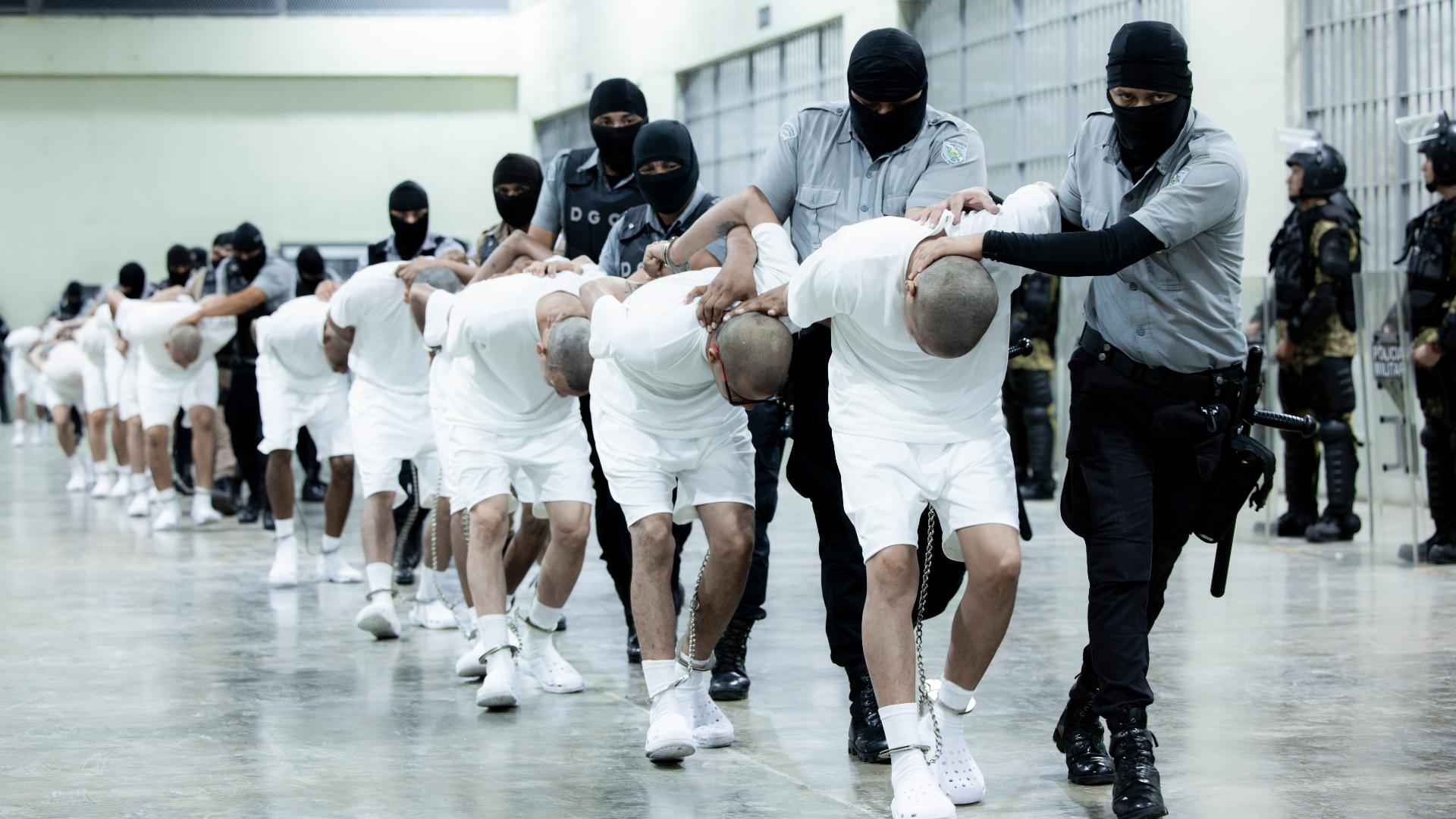 Trump administration deports hundreds of immigrants even when judge ...