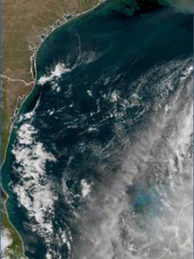 New Florida driver's license numbers to be issued soon | firstcoastnews.com