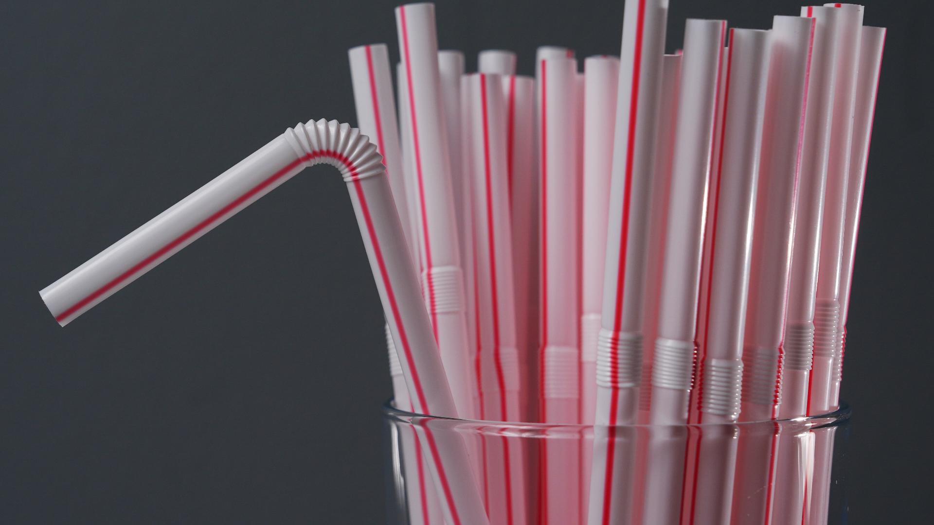 How do plastic straws impact the environment? | firstcoastnews.com