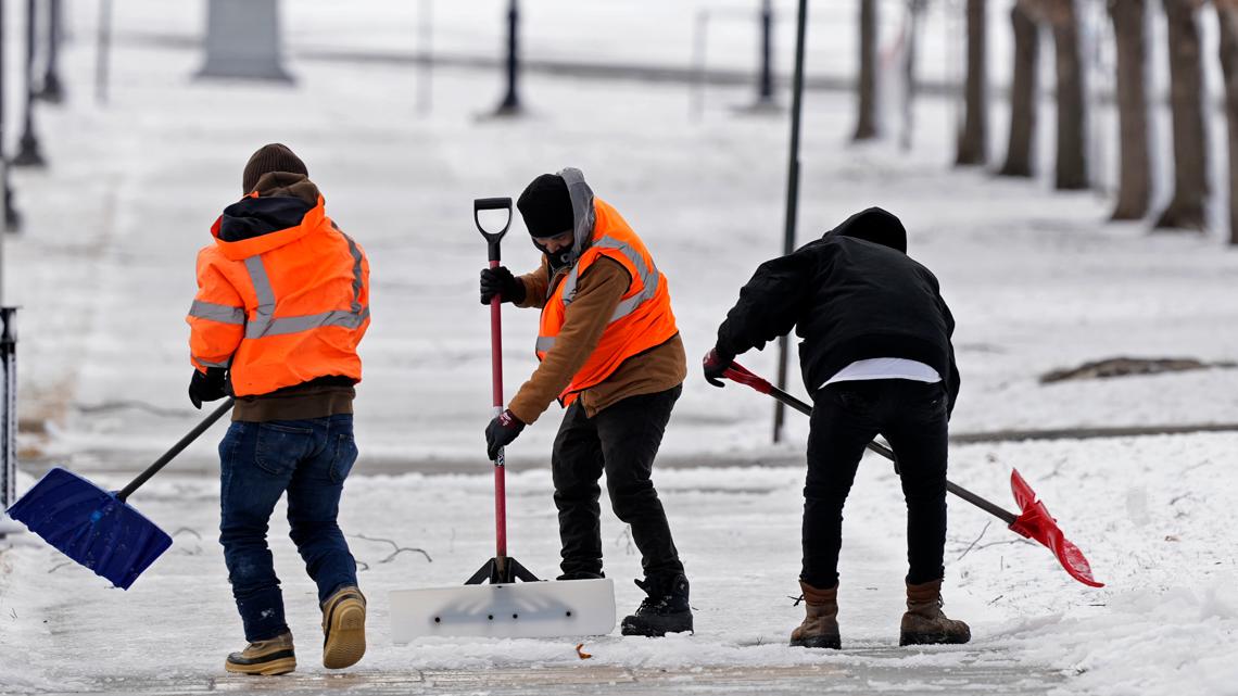 Rabid bobcat attacks woman on Jekyll Island mini golf course; rabies ...