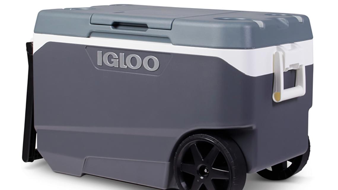 Igloo cooler recall: What to know | firstcoastnews.com
