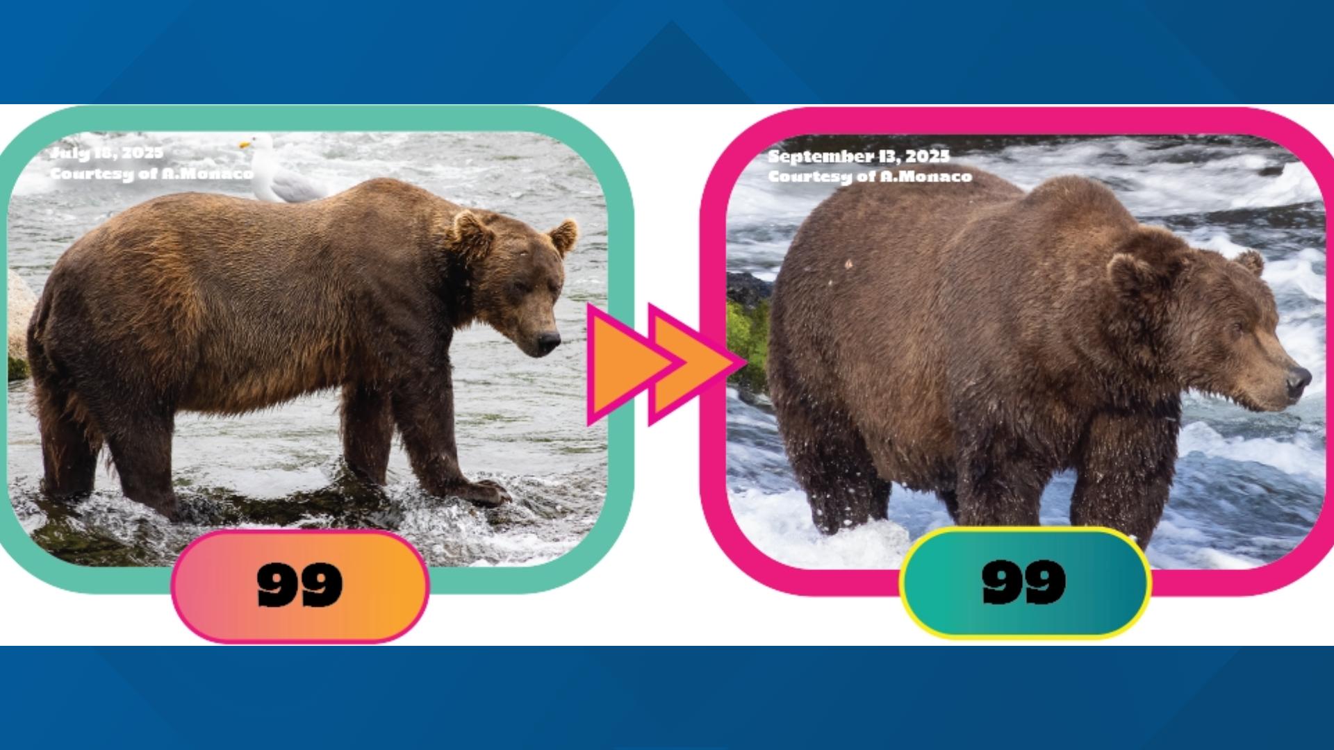 Fat Bear Week 2025 competitors: From broken-jawed chunk to defending ...