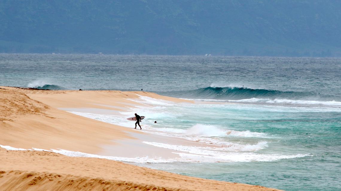 'Pirates of the Caribbean' actor dies in Hawaii shark attack ...