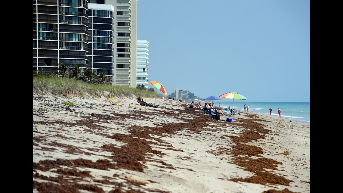 Worst Beaches In Florida