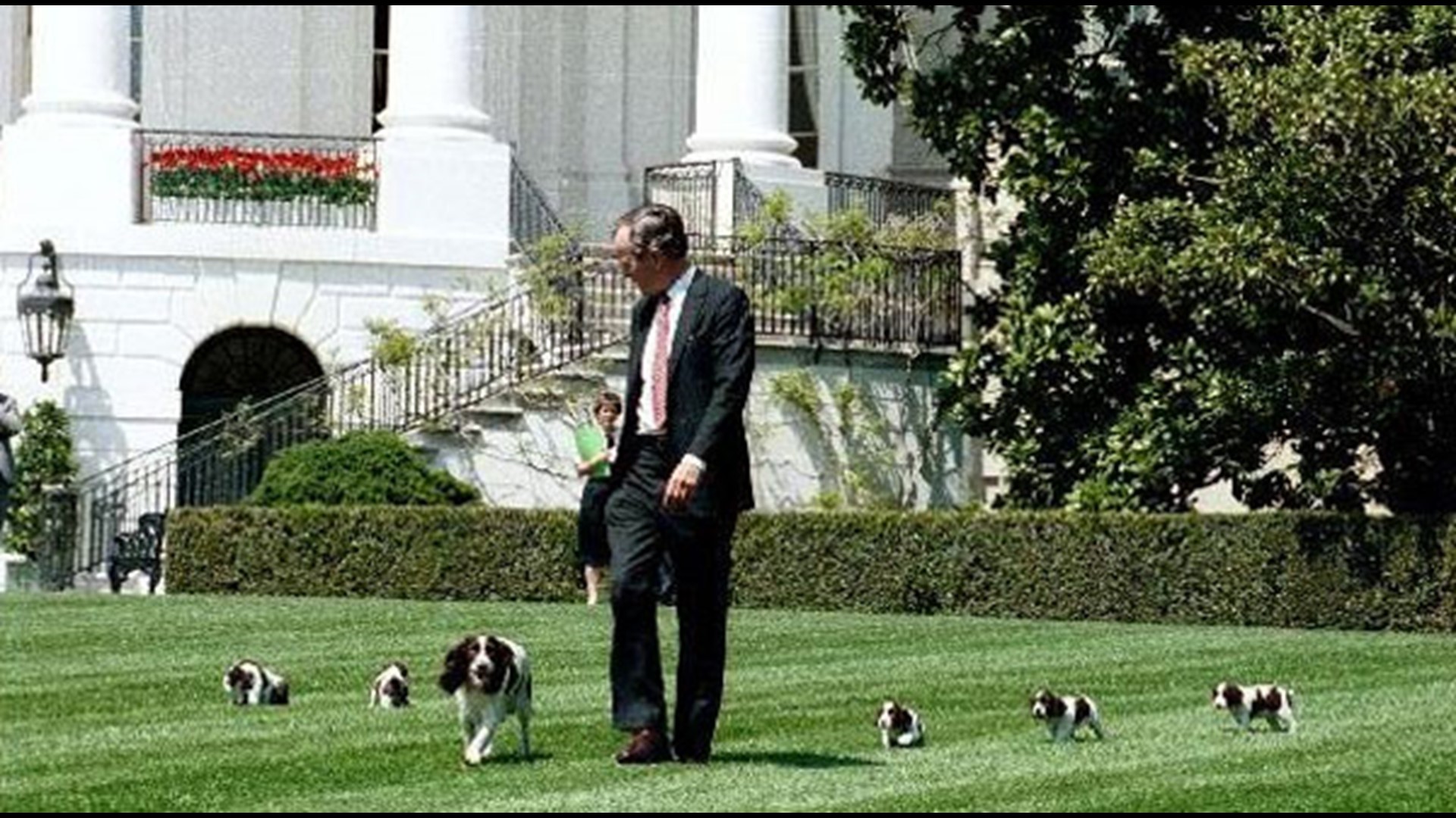 Photos: Bush pets through the years | firstcoastnews.com