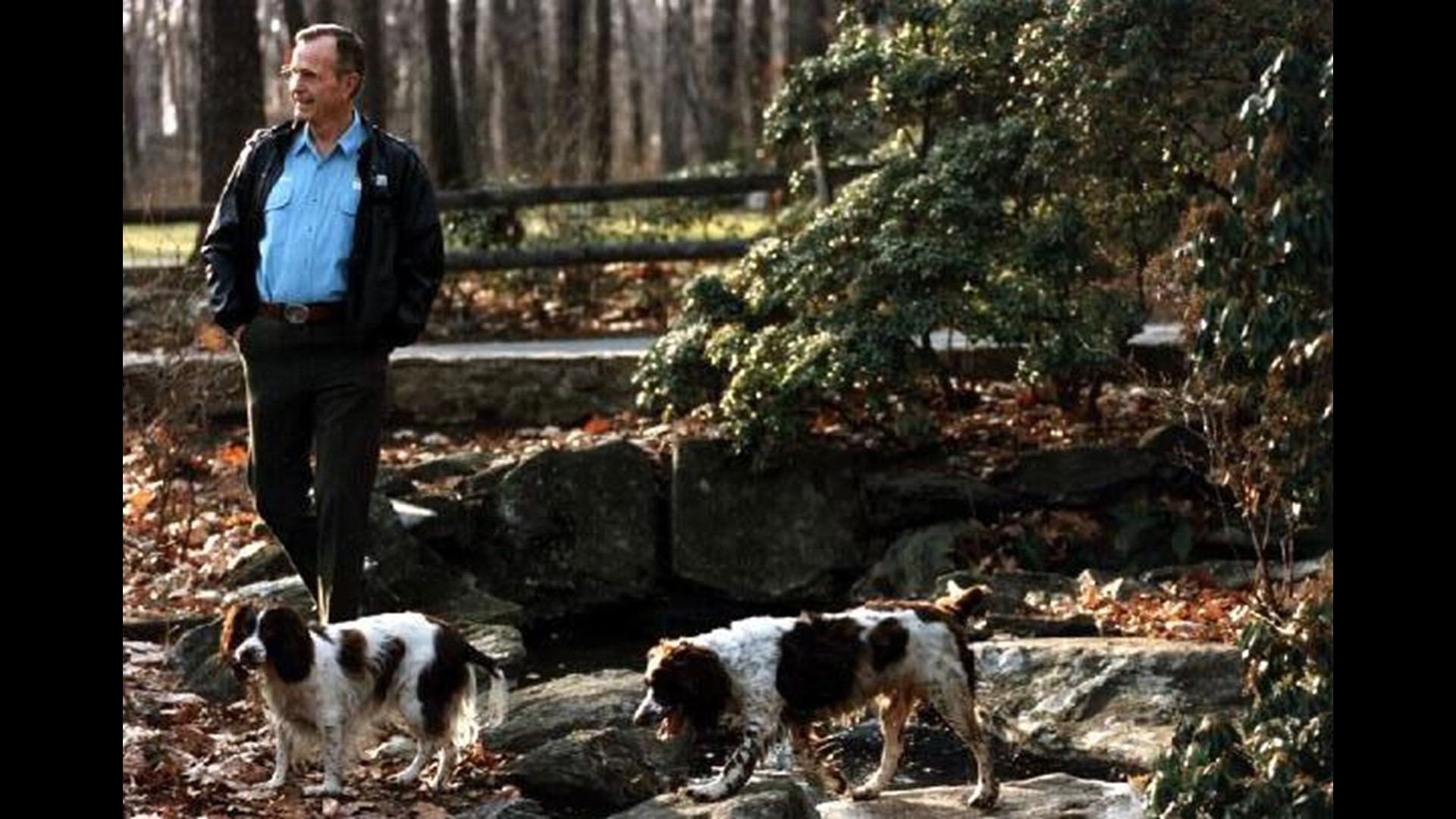 Photos: Bush pets through the years | firstcoastnews.com