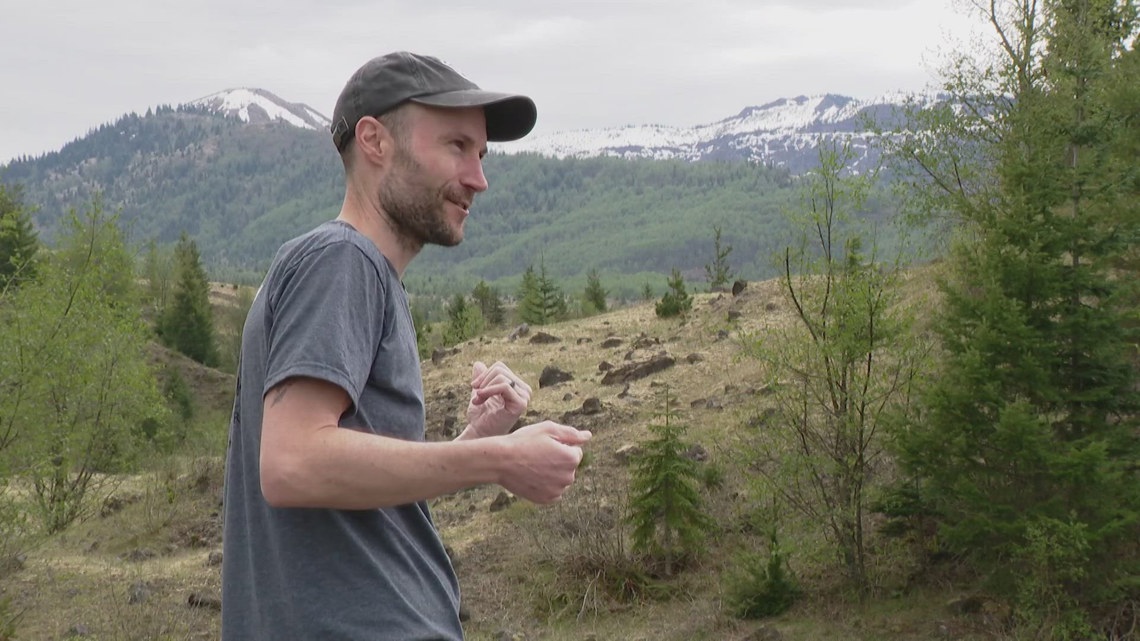 Mount St. Helens environment recovers 45 years after eruption ...