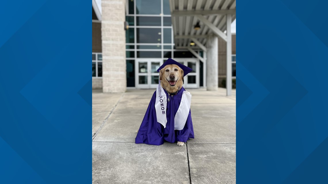 Service dog graduates from Groves Middle School with honors ...