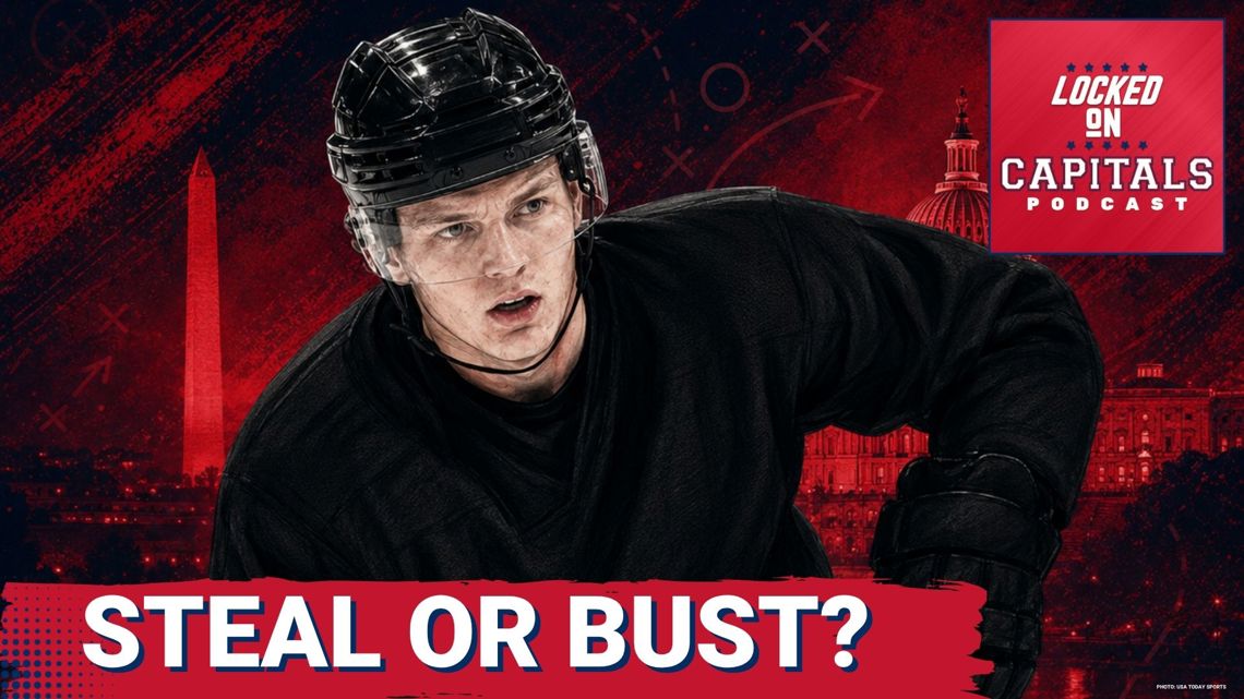 SMART GAMBLE: Washington Capitals TARGET Theodor Niederbach in SHL ...