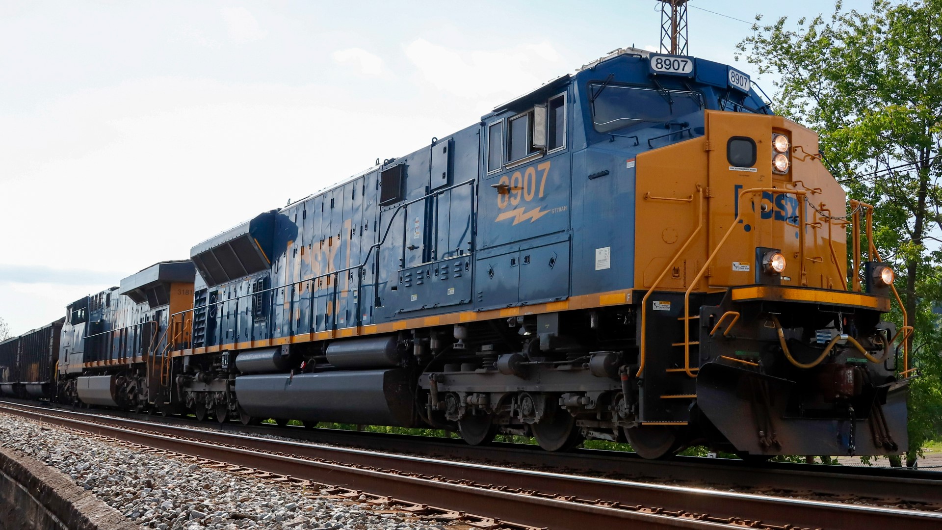 Severed human arm found in Waycross train yard, police say ...
