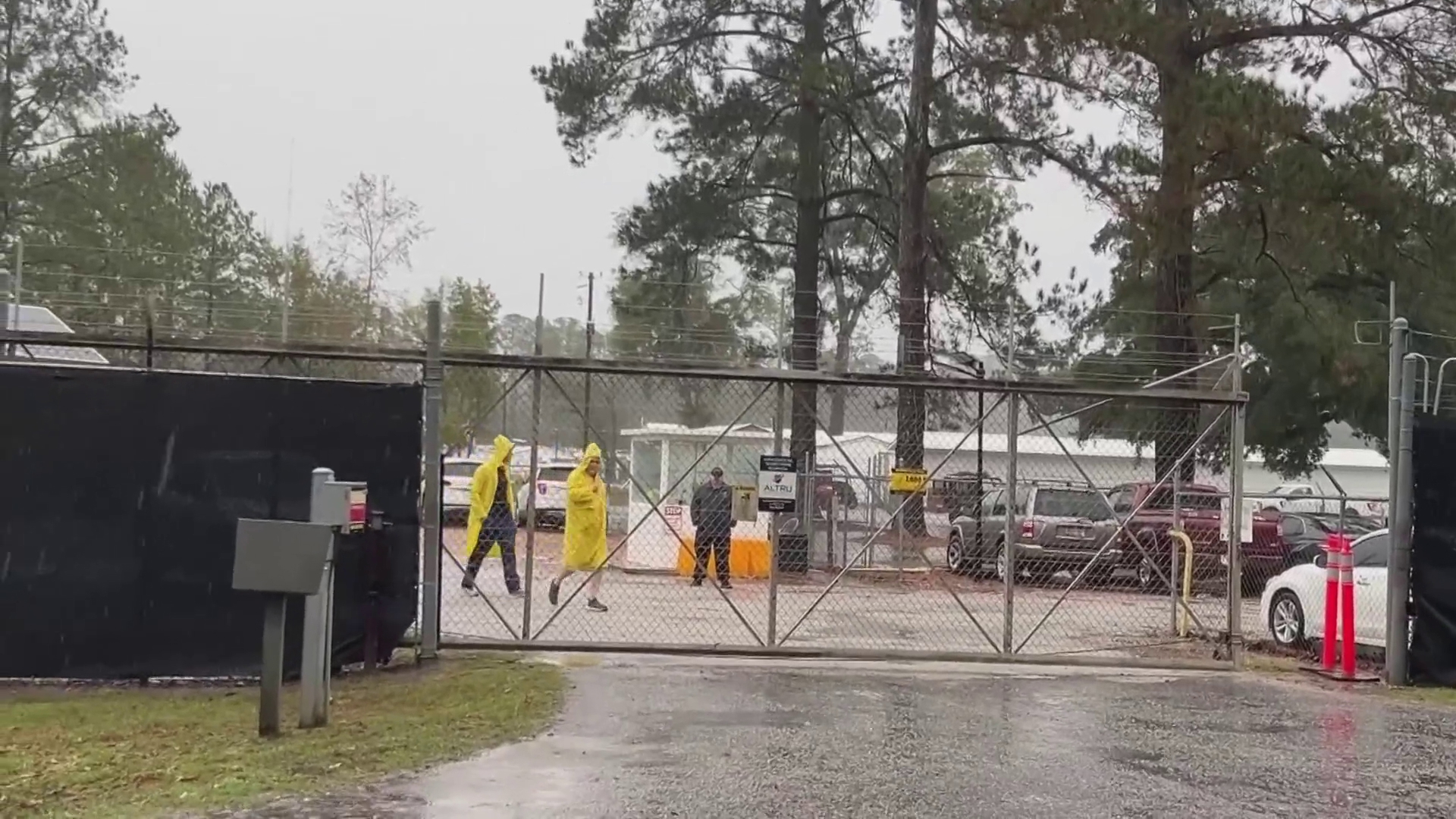 43 monkeys escape South Carolina lab: Expert reacts | firstcoastnews.com