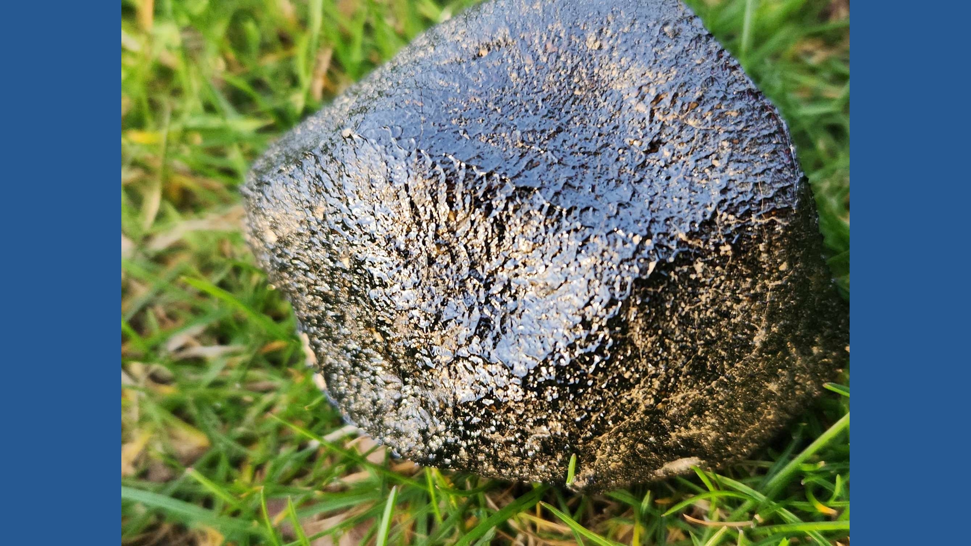 Ohio meteorite hunter says a dream led him to one of his biggest finds ...