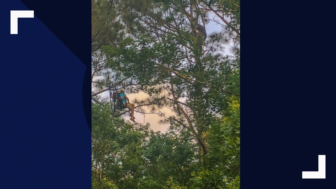 Paraglider crashes into tree 80 feet in the air in Palmetto Park ...