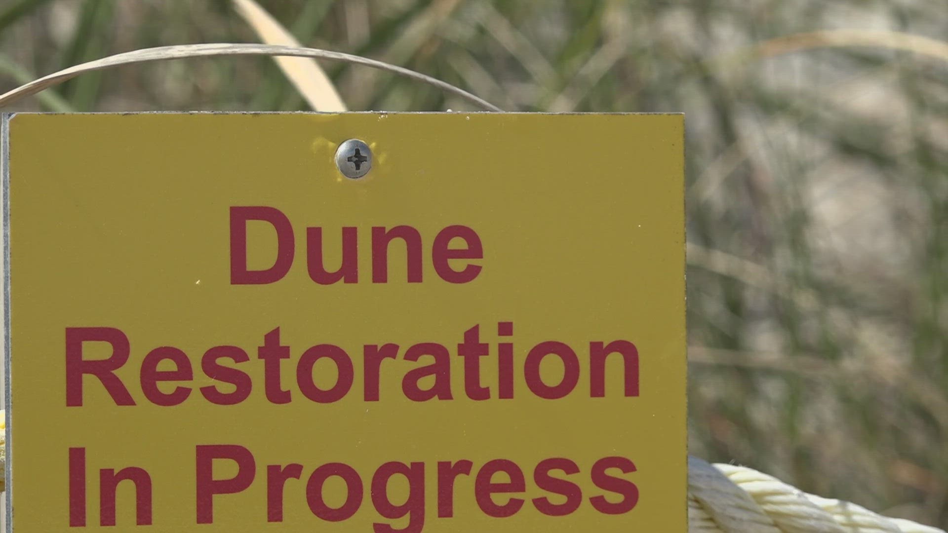 Mickler's Landing to close for beach restoration project ...