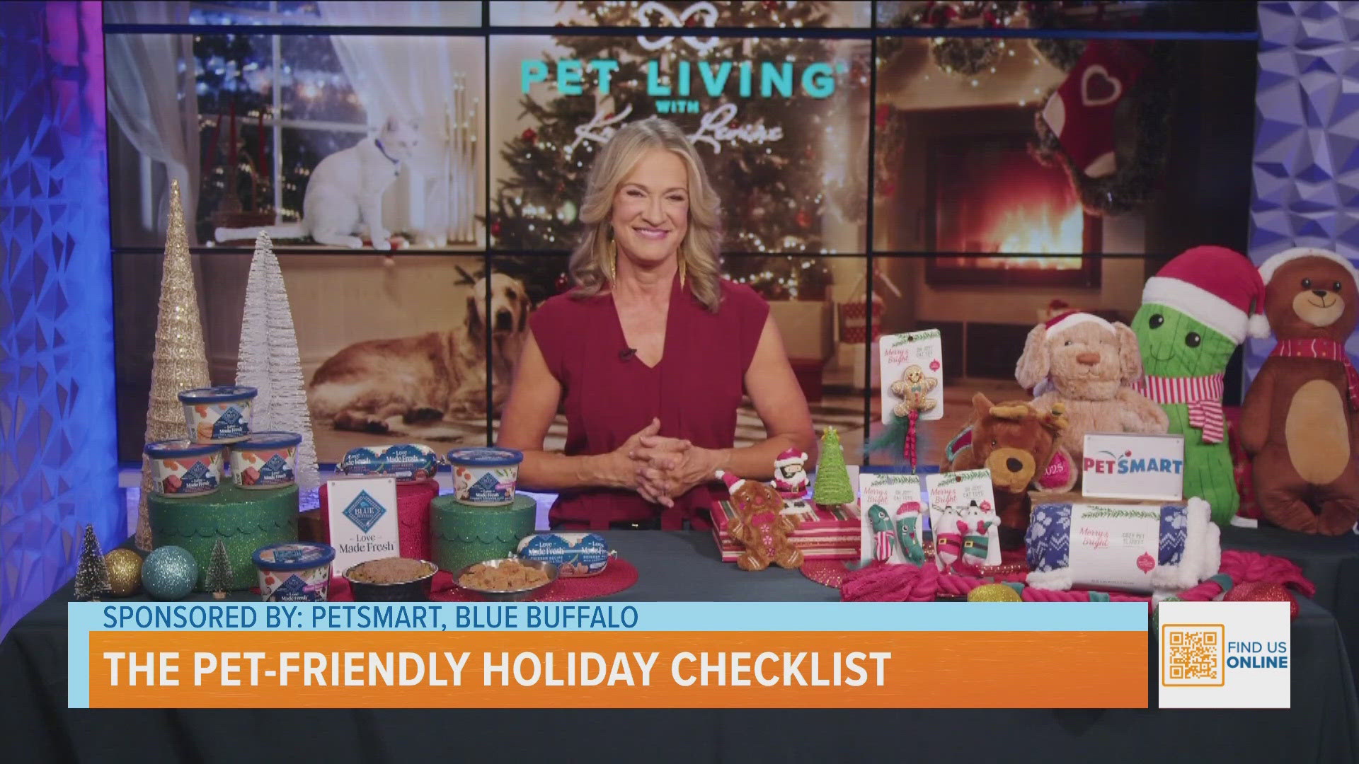 The Pet-Friendly Holiday Checklist | firstcoastnews.com