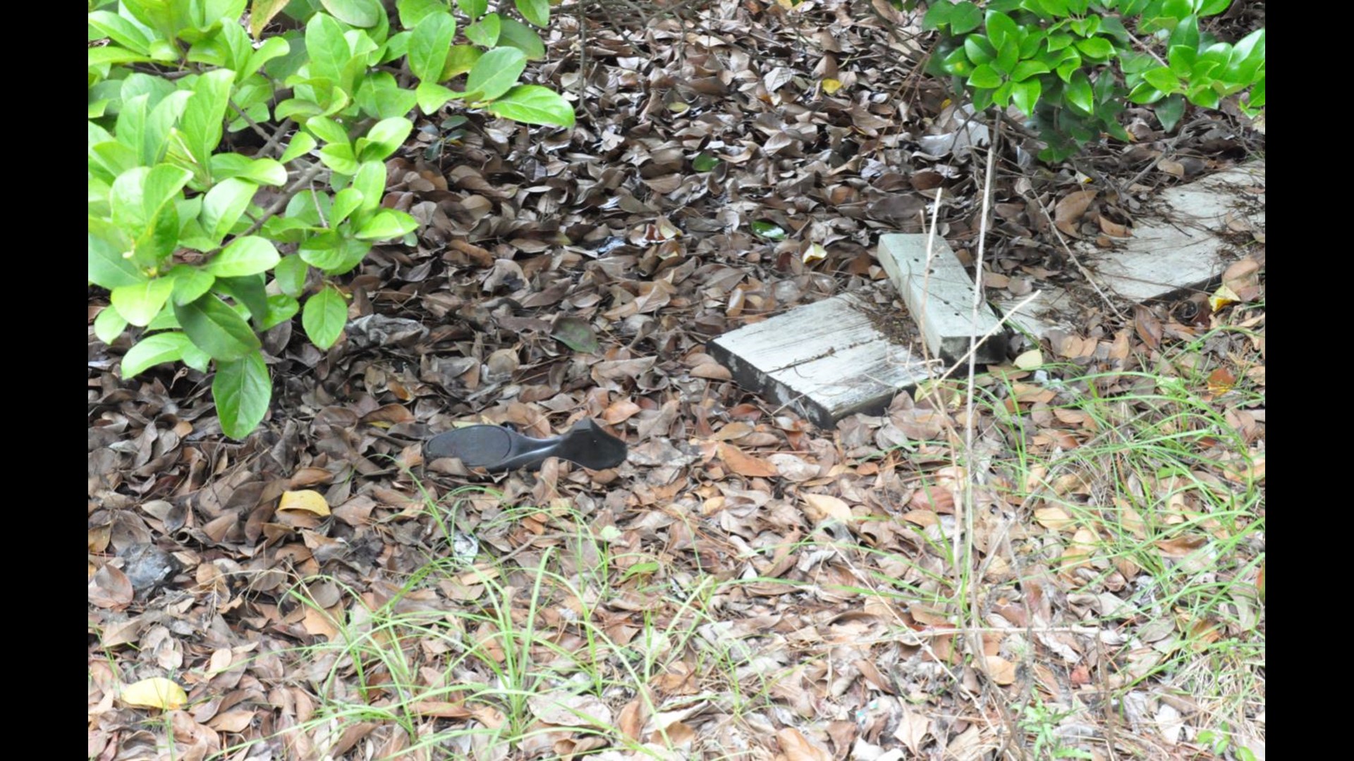 New evidence released in accused killer Kimberly Kessler's case ...