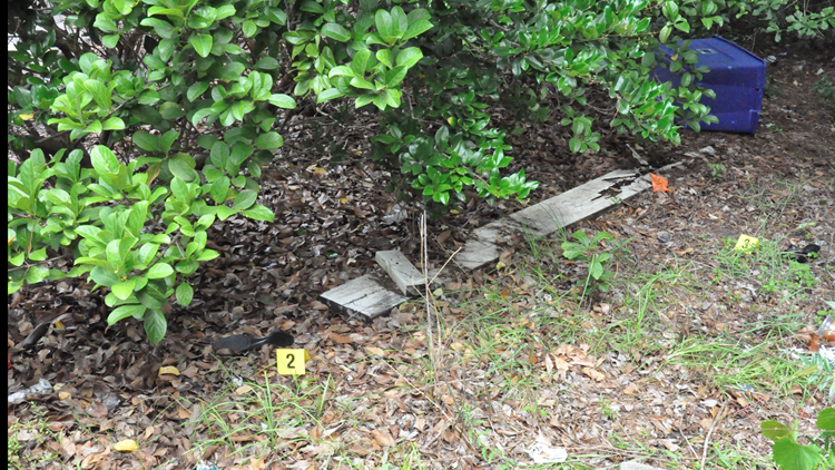 New documents and photos released in murder case against Kimberly ...