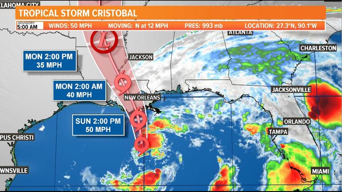 Tropical Storm Cristobal to threaten the U.S. Gulf Coast ...