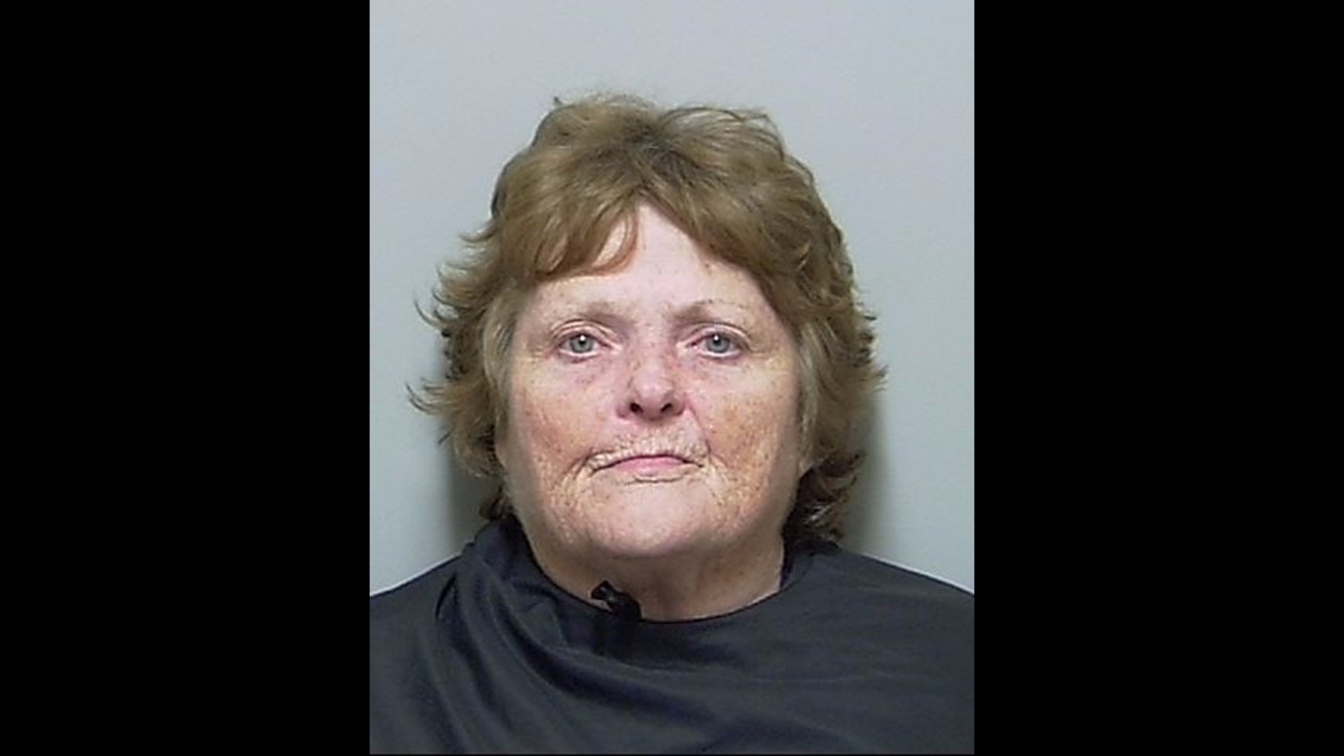 13 arrested in Putnam County 'warrant roundup' operation ...
