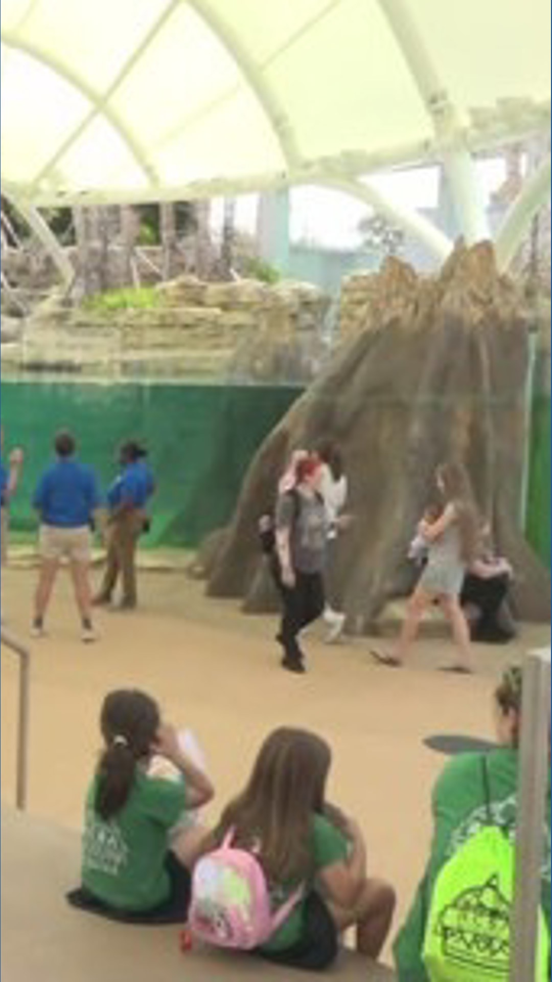 'Rezoovenation': State-of-the-art Manatee River exhibit opens at ...