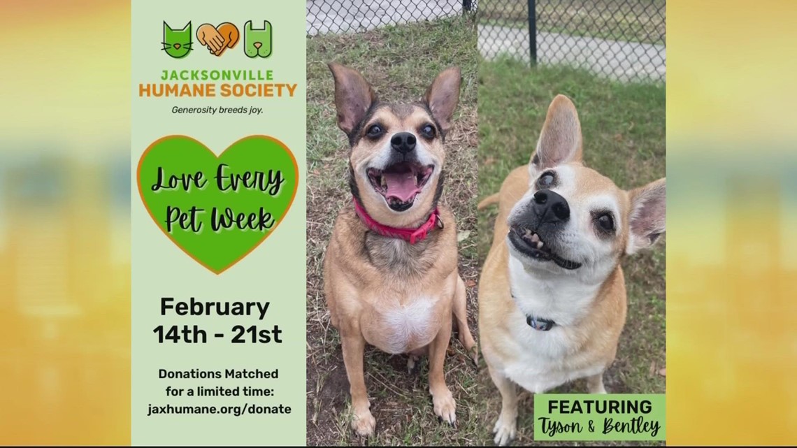 Love is in the air at the Jacksonville Humane Society (FCL Feb. 14 ...