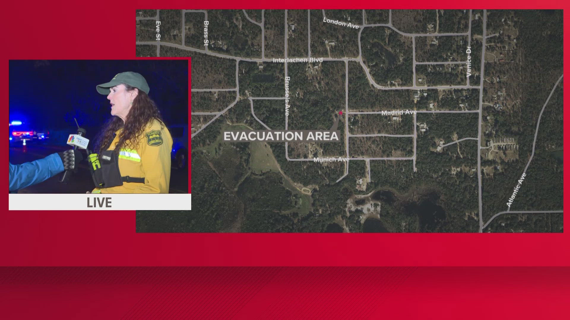 Own the real Microsoft Office 2024 apps for a single $100 payment ...