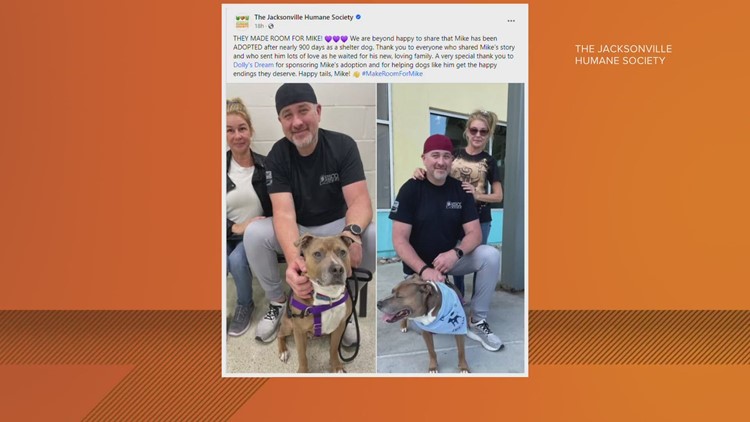 Longest tenured dog at Jacksonville Humane Society, Mike adopted ...