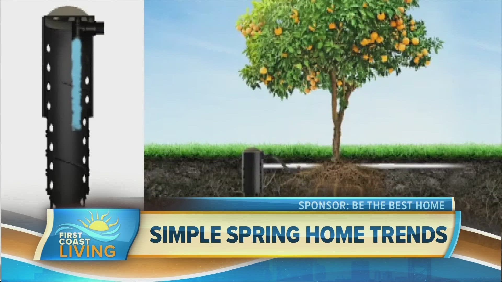 Simple spring home trends for 2023 (FCL Mar. 22, 2023) | firstcoastnews.com