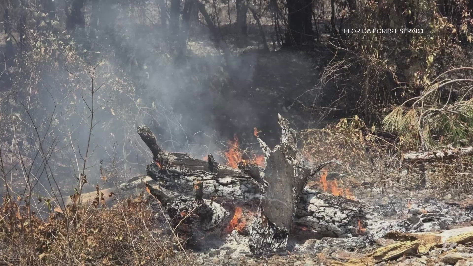 NASA Curiosity rover finds rare molecules on Mars that could be clues ...