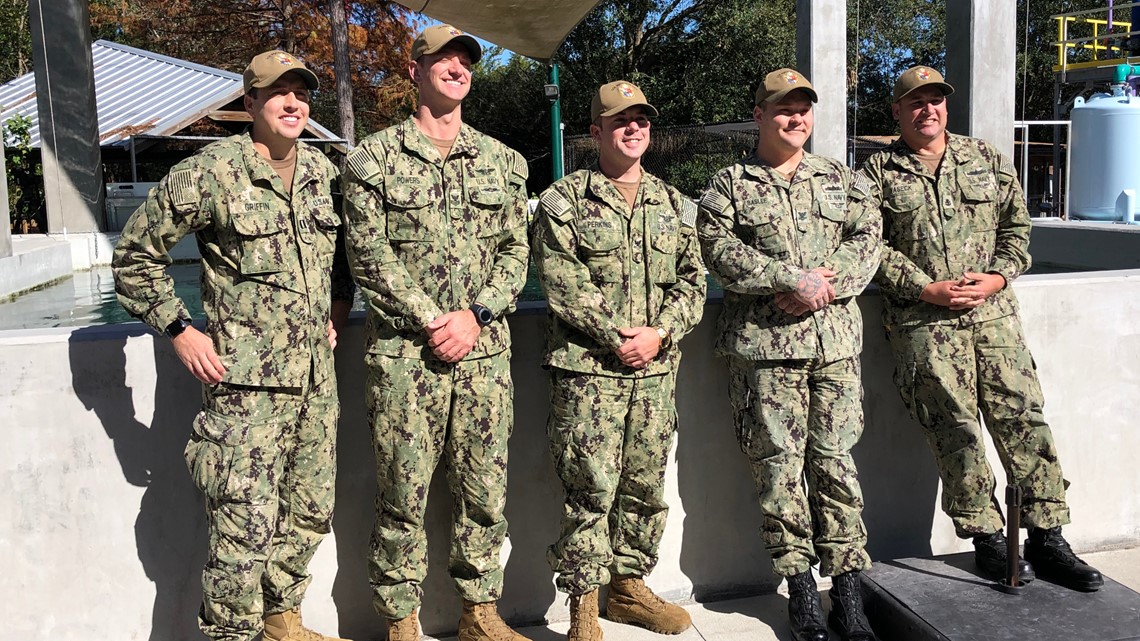 Navy officers visit manatee rescued at Florida naval base ...