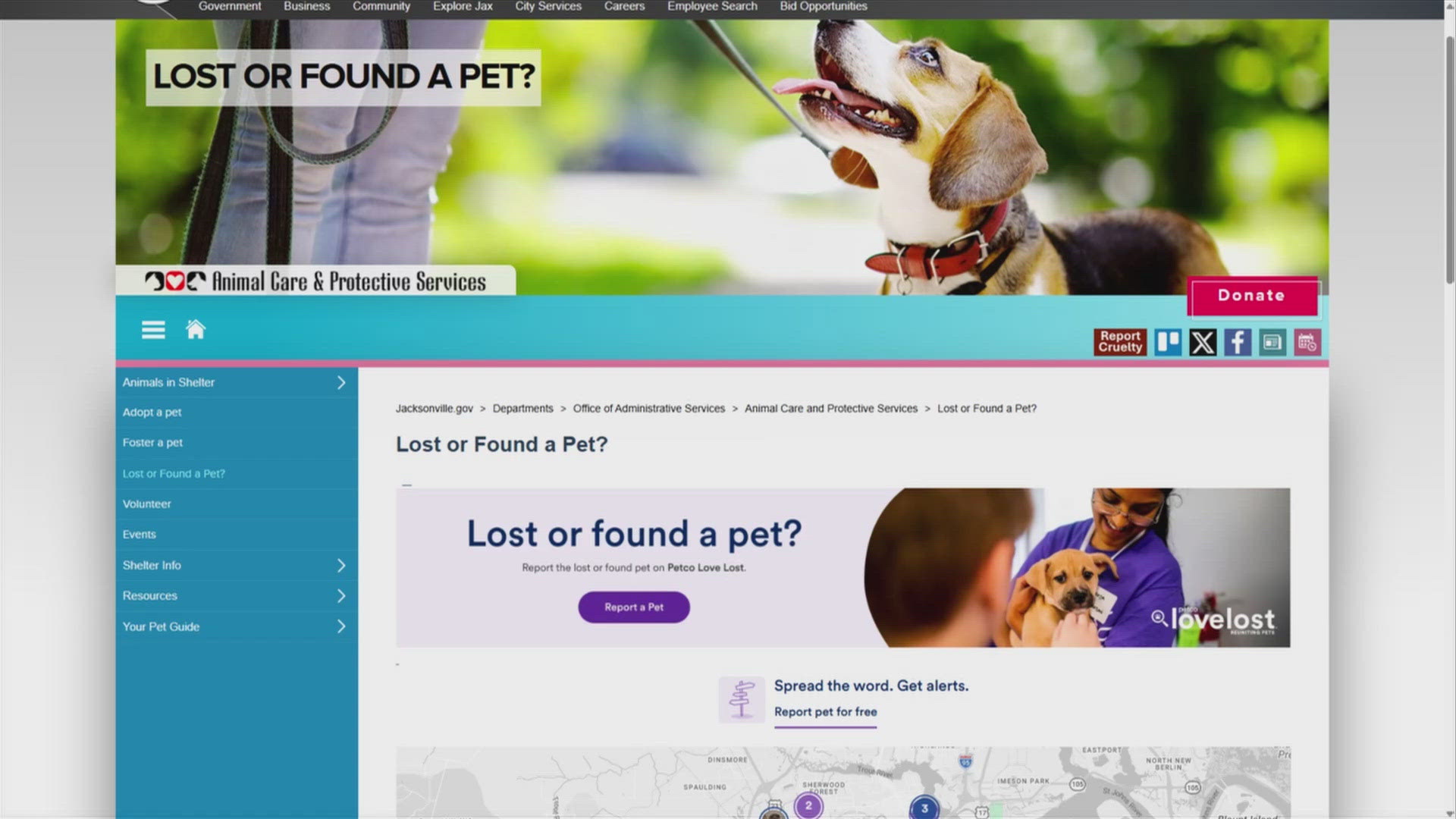 Jacksonville ACPS revamps website to help reunite lost pets and owners ...