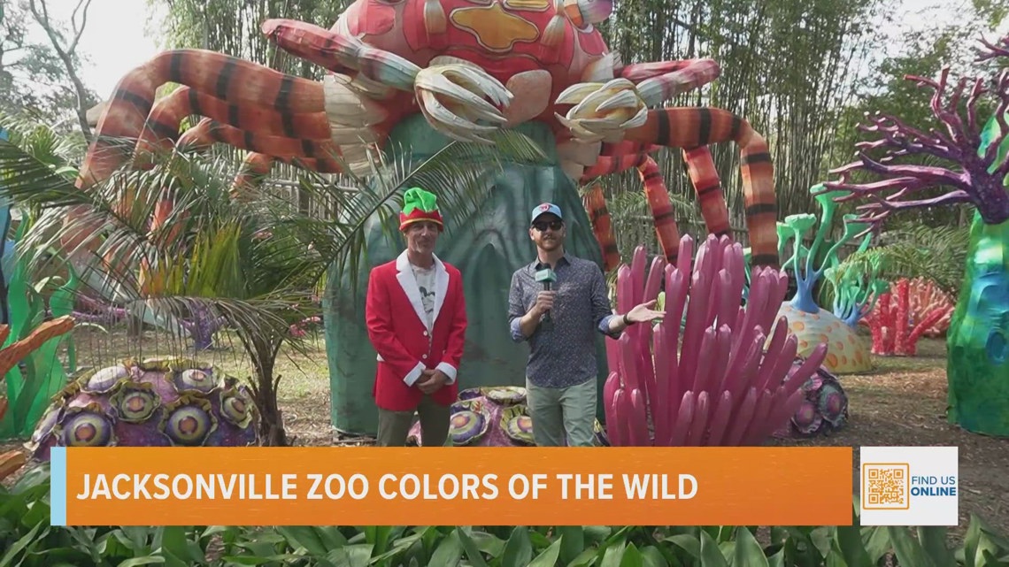 Jacksonville Zoo Colors of the Wild | firstcoastnews.com