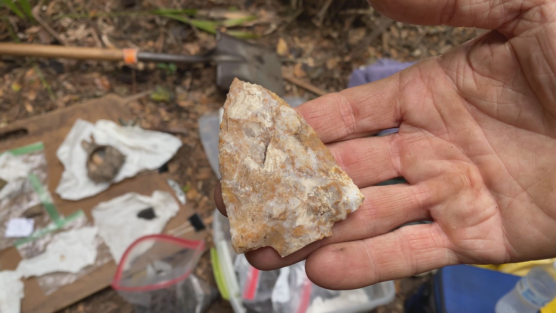 Florida school unearthing artifacts from Timucua village ...