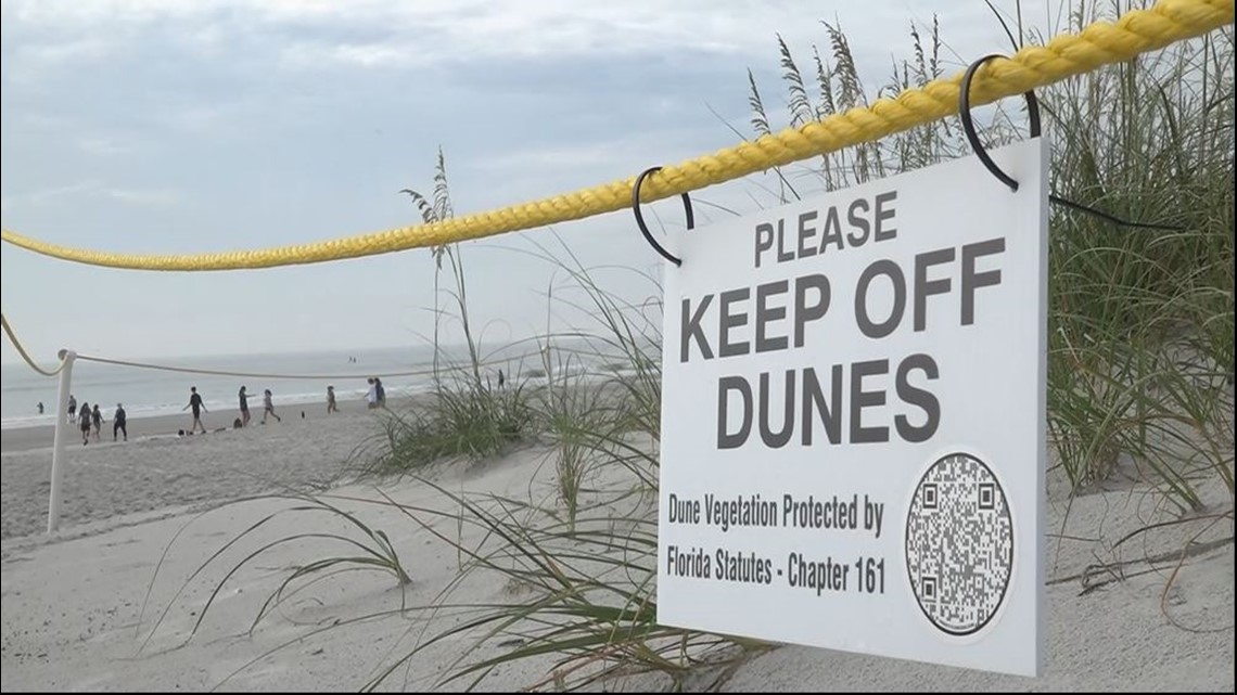 New efforts to protect Florida sand dunes | firstcoastnews.com