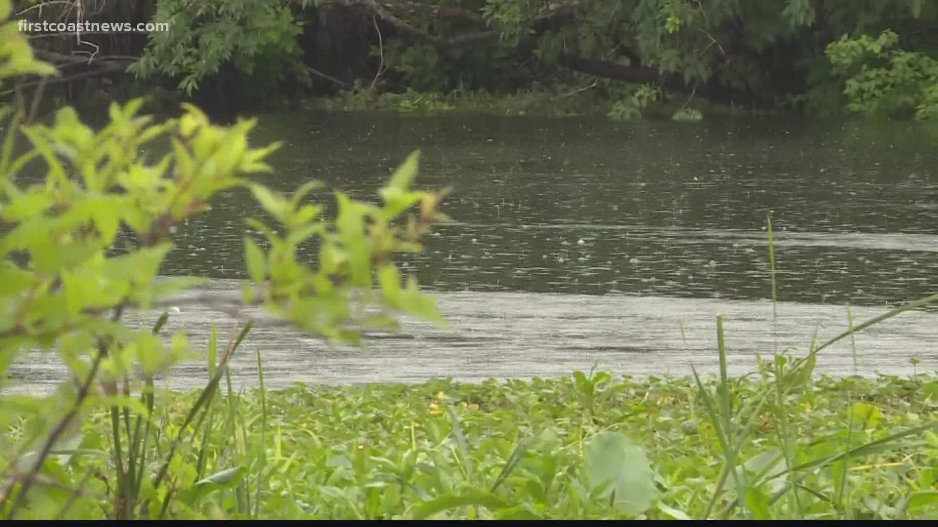 How heavy rainfall could cause toxic algae blooms | firstcoastnews.com