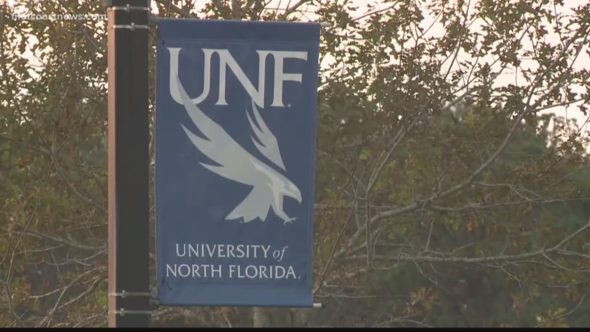 UNF dean of Computing, Engineering, Construction resigns following ...