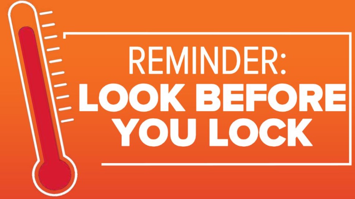 Hot weather reminder: Look before you lock | firstcoastnews.com
