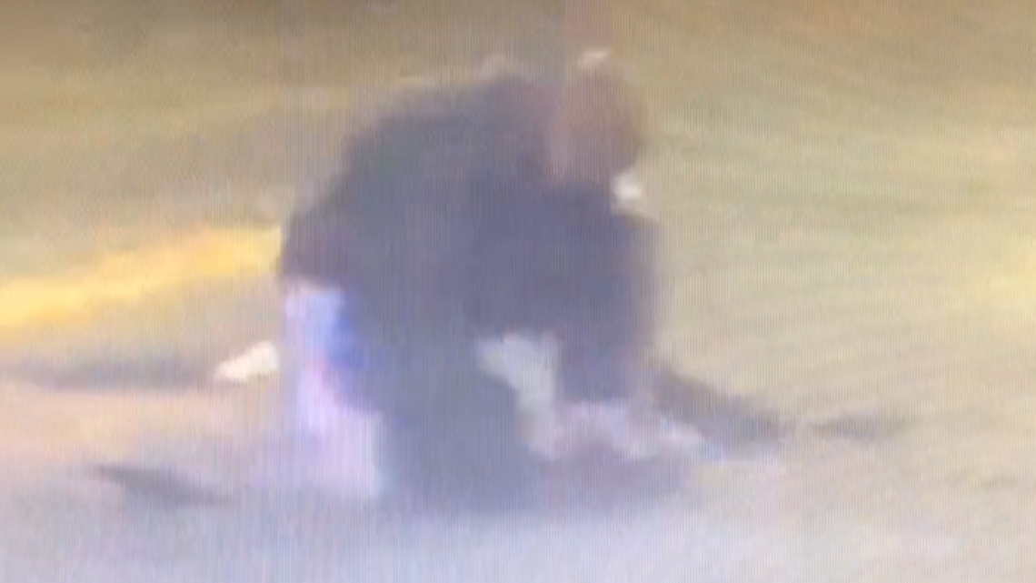 Video shows Florida man beating dog, police pursuing charges ...