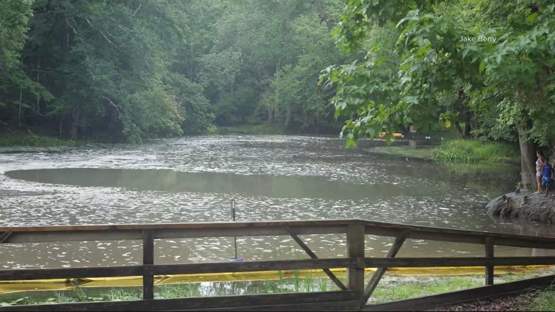 Can I swim at Gilchrist Blue Springs State Park? | firstcoastnews.com