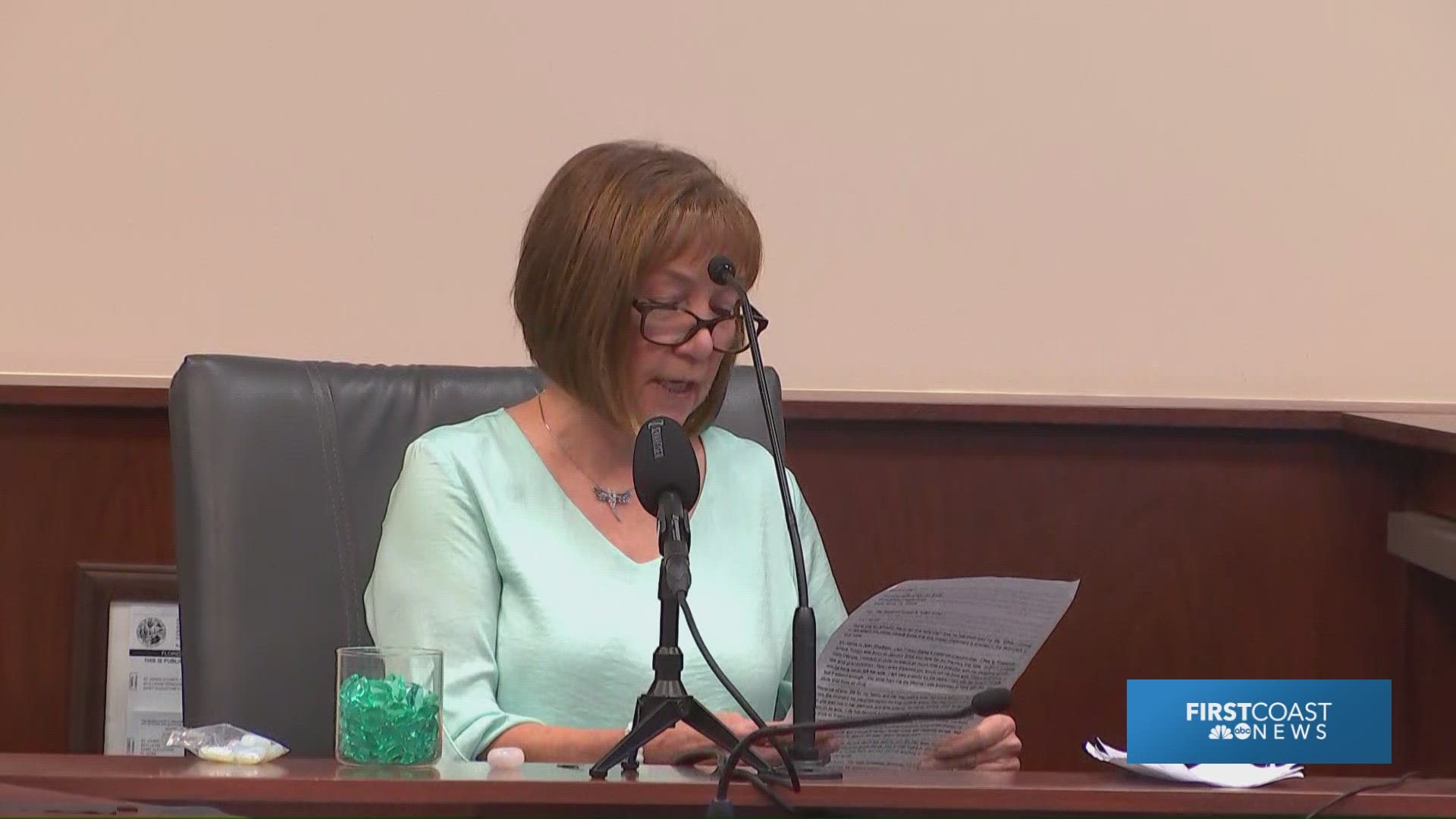 'He is a thief' | Tristyn Bailey's grandma explains Aiden Fucci stole ...