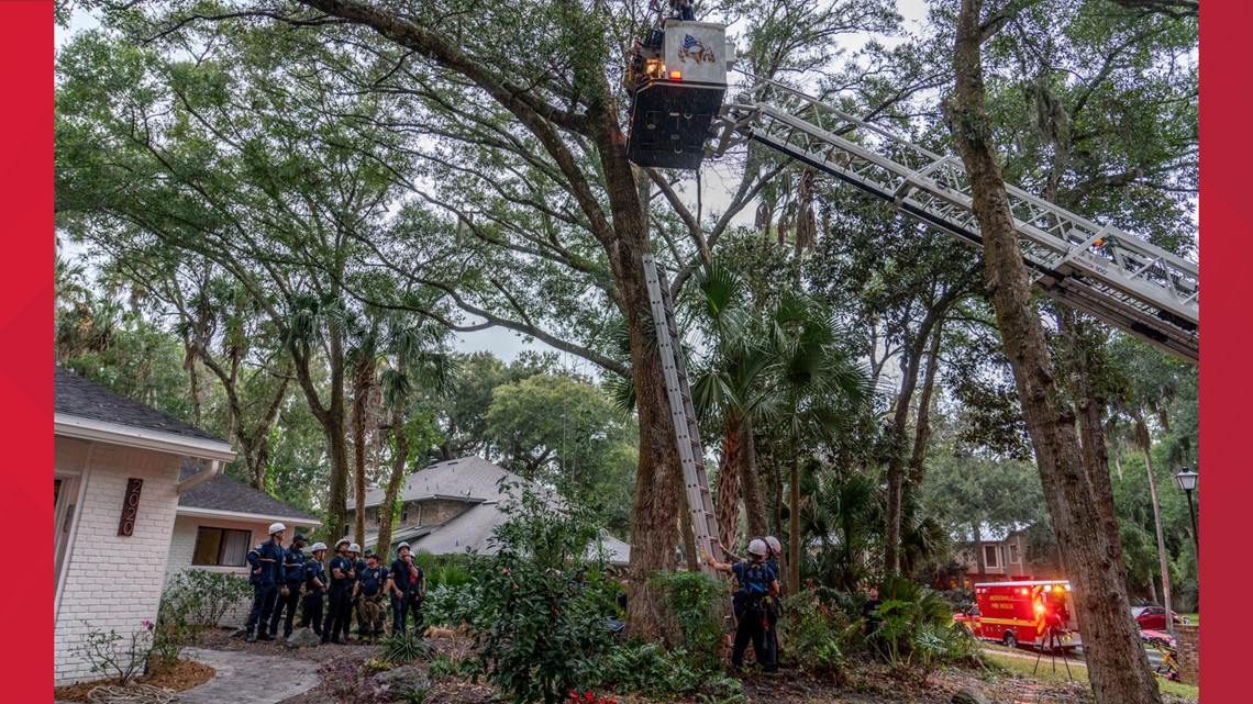 JFRD rescues man stuck in tree in Atlantic Beach | firstcoastnews.com
