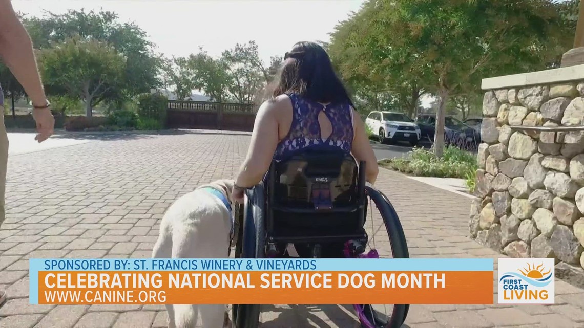 How you can help celebrate National Service Dog Month | firstcoastnews.com