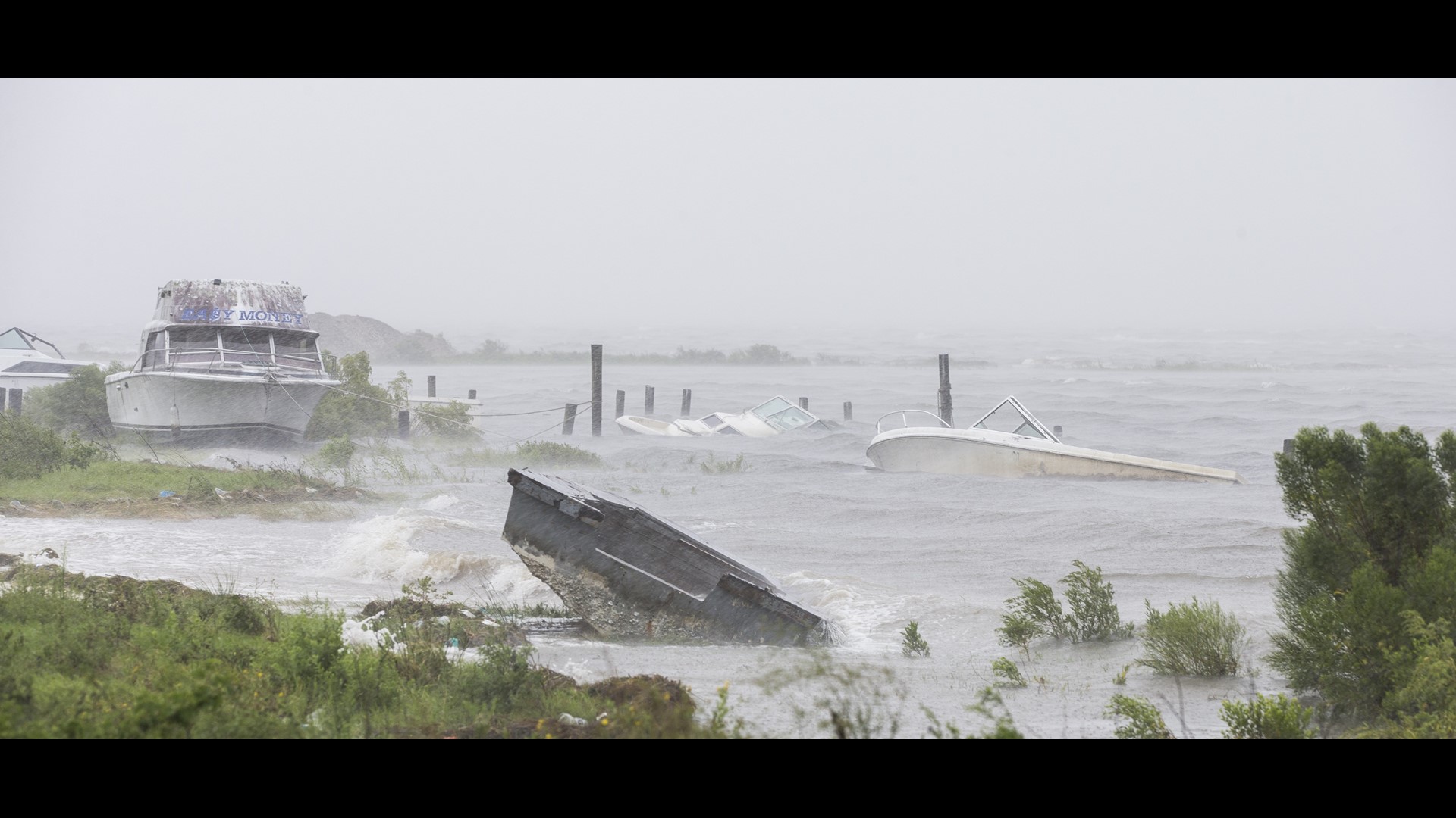 Hermine knocks down trees, damages property in southeast Georgia ...
