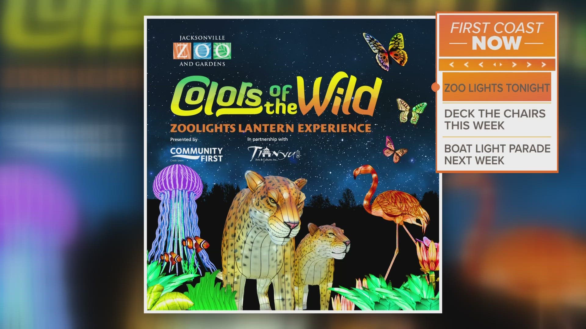 Jacksonville Zoo & Gardens set to kick off 'one of the largest Asian ...