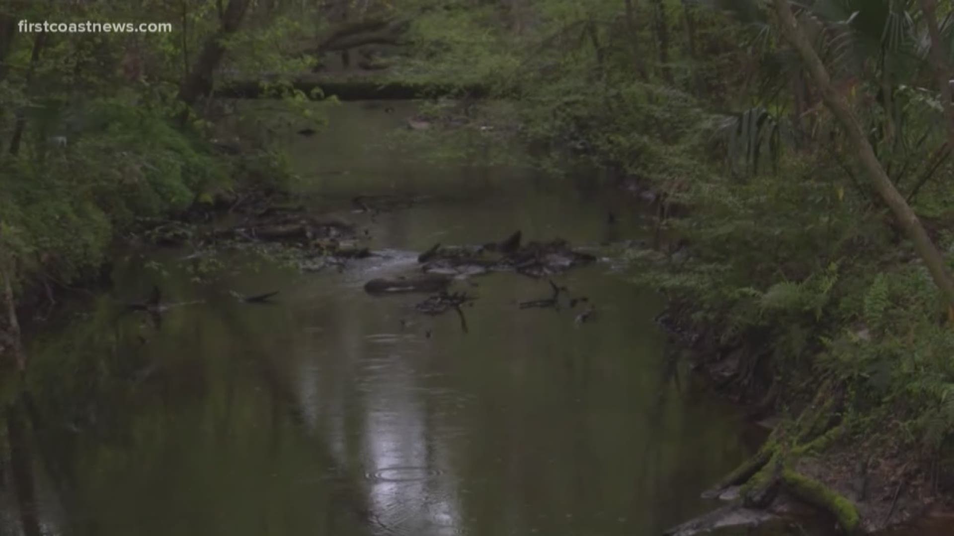 Jacksonville, JEA team up to work on repairing failing septic tanks ...