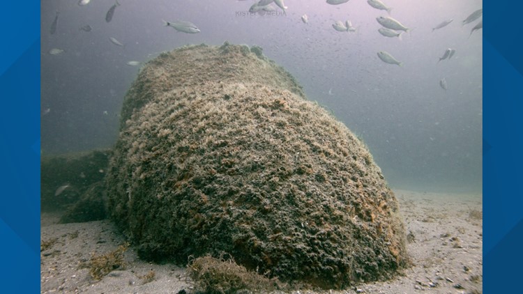 Navy aircraft create amazing artificial reef off St. Augustine | firstcoastnews.com