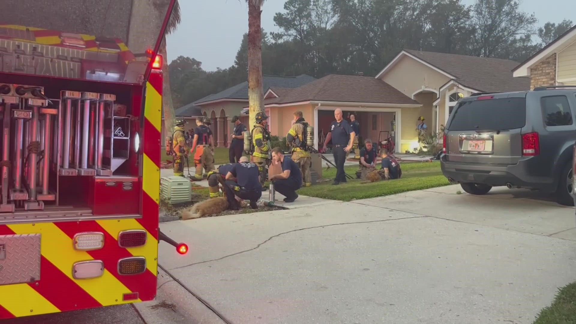 Crews save two dogs from Sandalwood home on fire | firstcoastnews.com