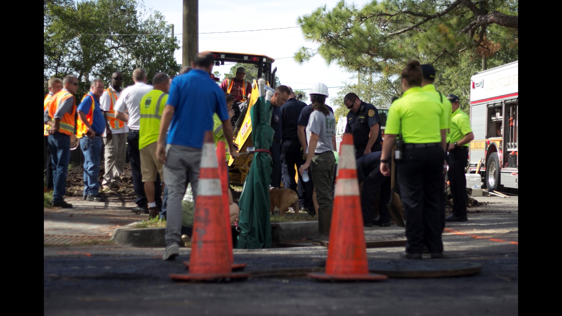 PHOTOS: Manatee stuck in Jacksonville storm drain | firstcoastnews.com