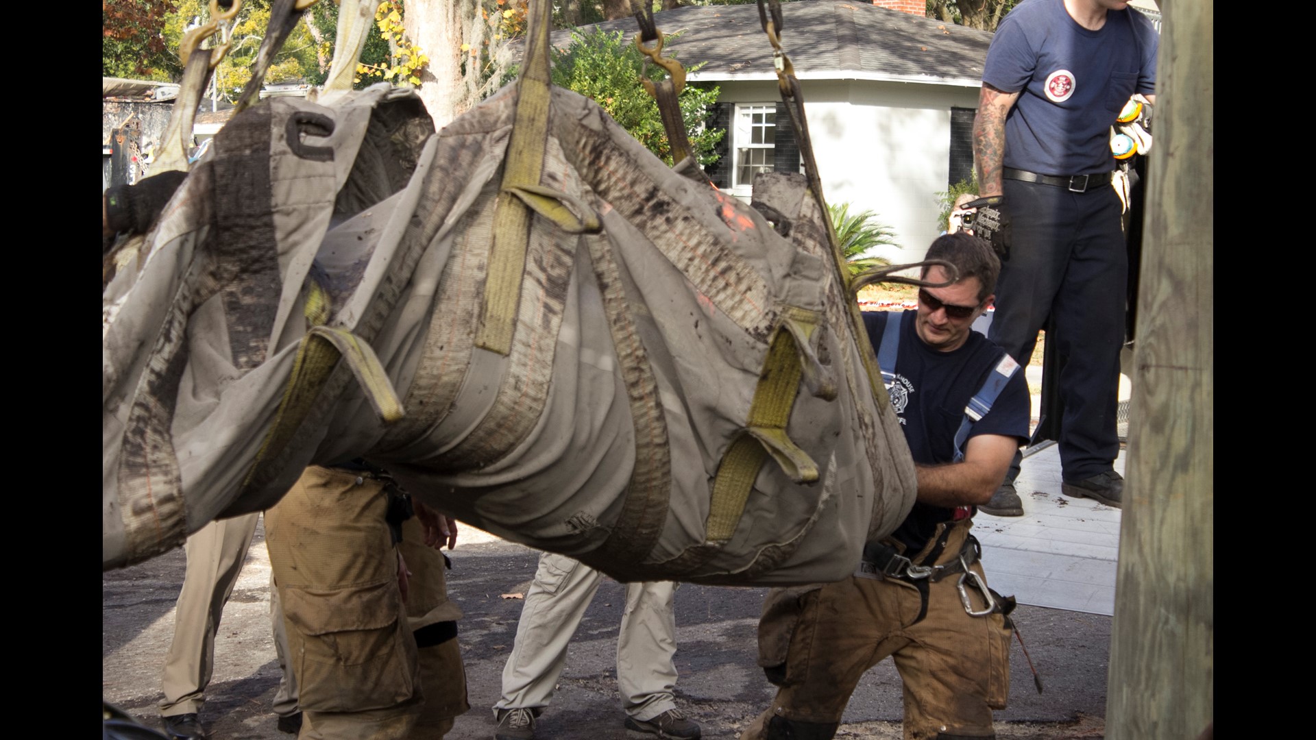 PHOTOS: Manatee stuck in Jacksonville storm drain | firstcoastnews.com